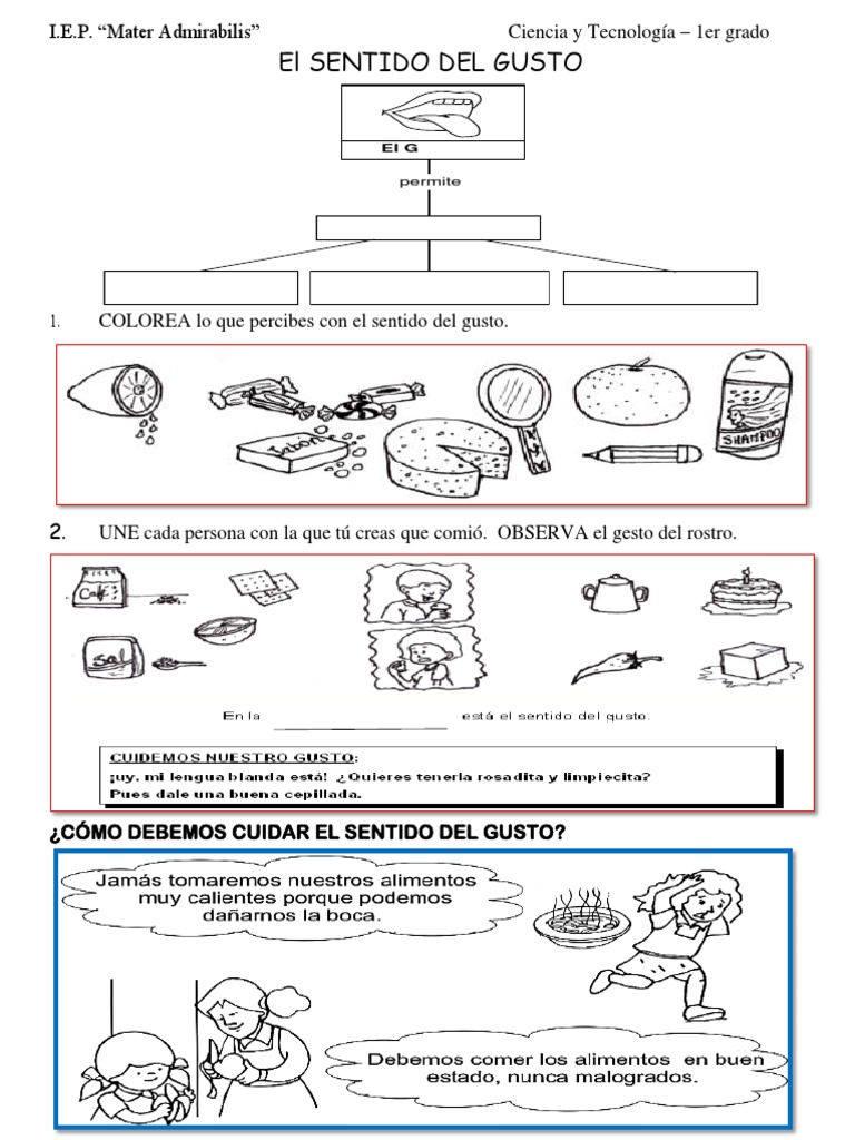El SENTIDO DEL GUSTO | PDF