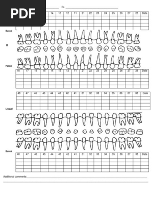 Perio Chart Template