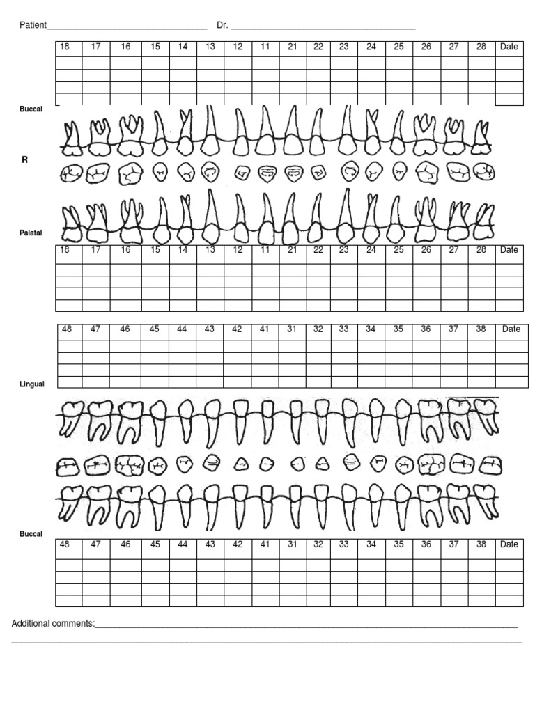 Sample Periodontal Chart PDF | PDF
