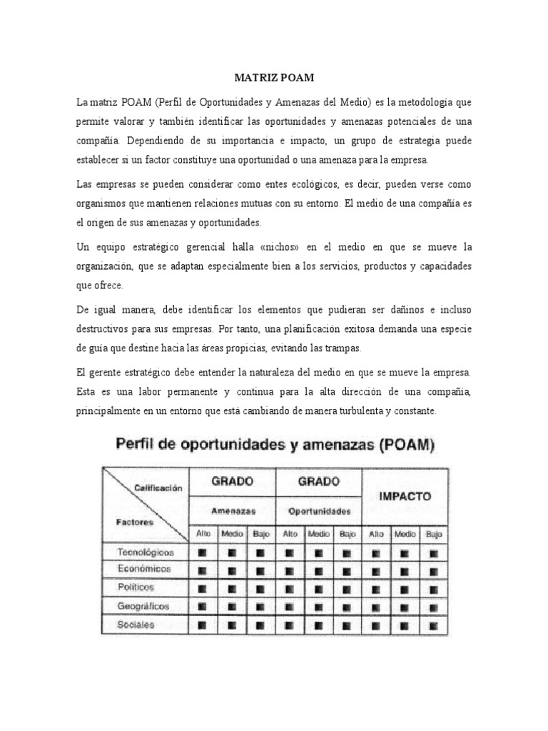 POAM | PDF | Planificación | Política