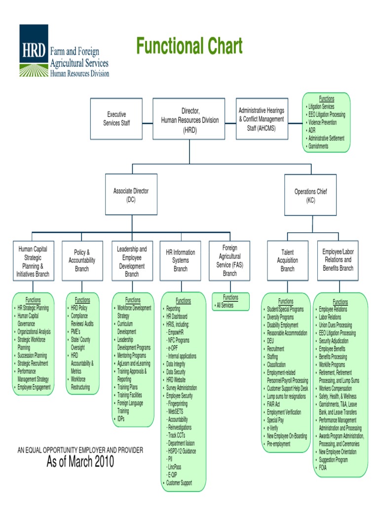 Functional Chart Functional Chart: As of March 2010 | PDF | Human ...