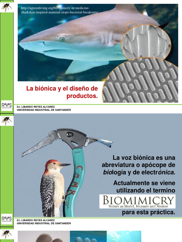001 La Bionica | PDF | Organismos | Biología