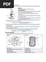 Year 7 - Biological Structures - Cells | PDF | Cell (Biology) | Chloroplast
