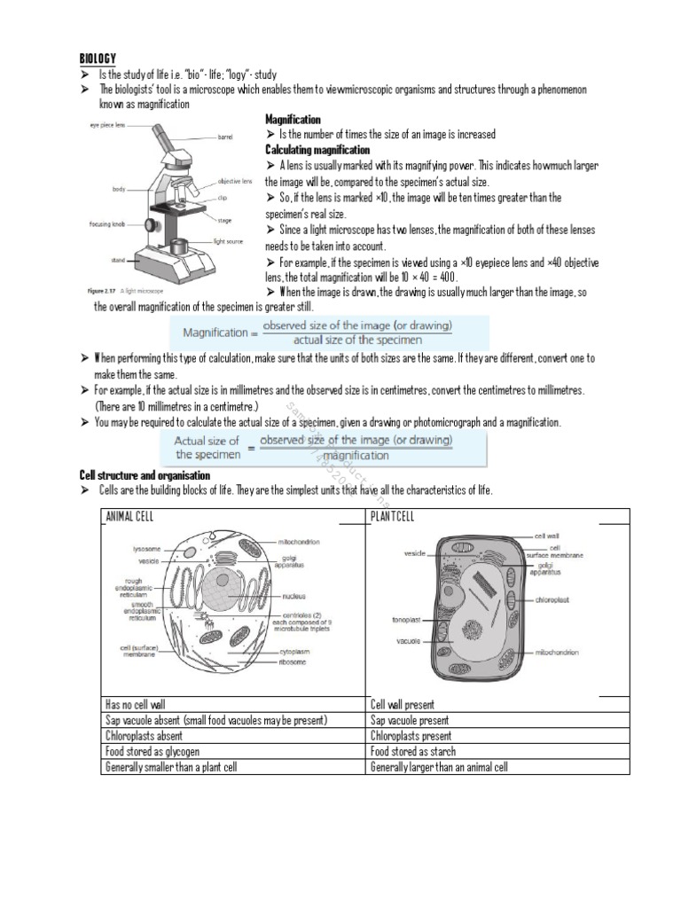 Cell Structure and Function | PDF | Endoplasmic Reticulum | Vacuole