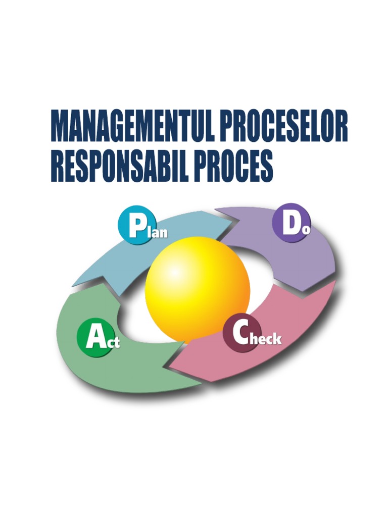 Responsabil Proces | PDF