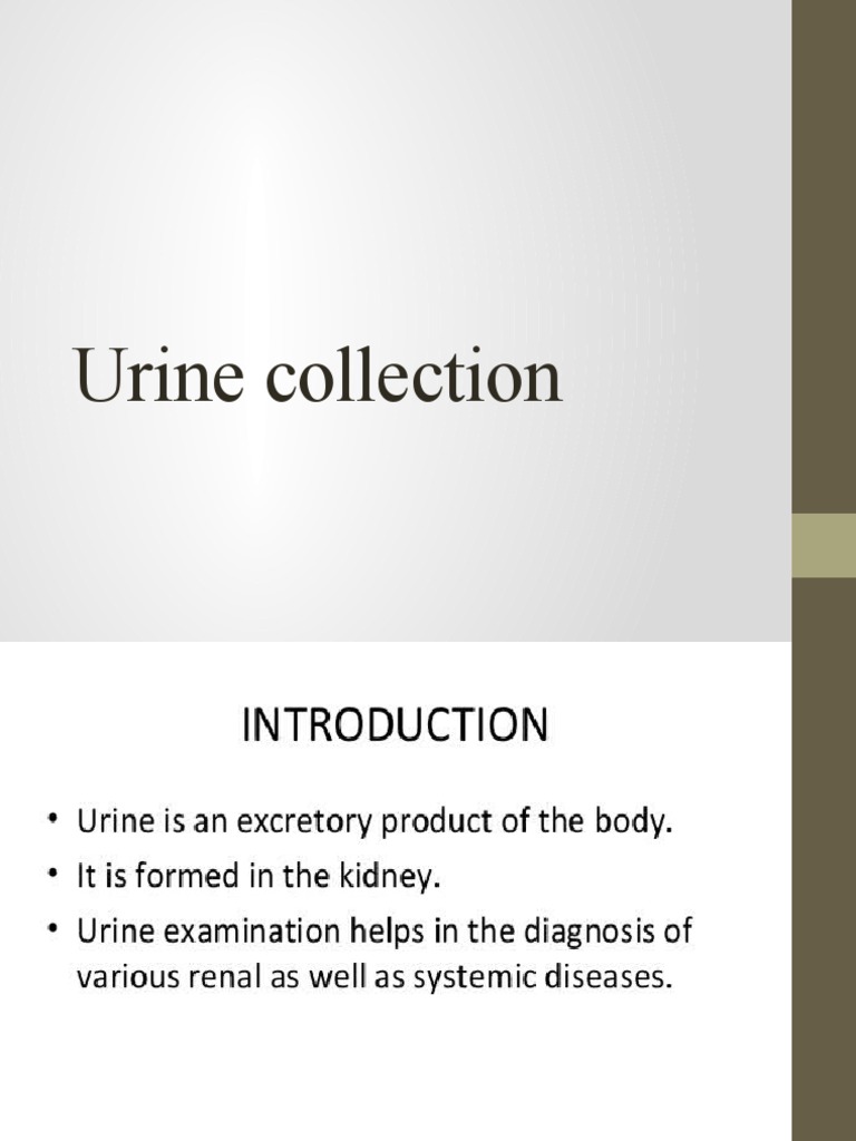 Urine Test Pdf