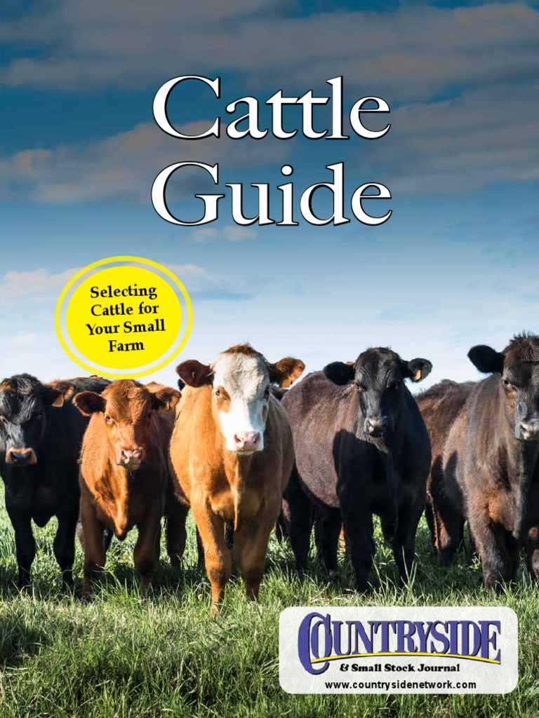Cattle Guide: Selecting Cattle For Your Small Farm | PDF | Cattle ...