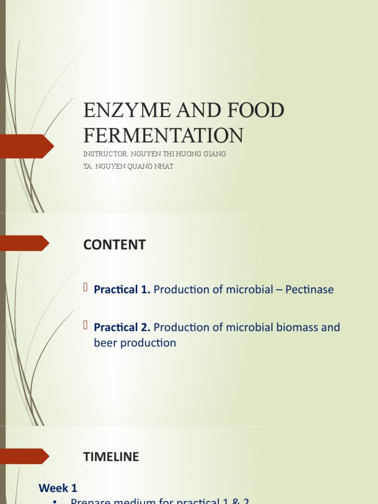 Enzyme and Food Fermentation | PDF | Brewing | Yeast