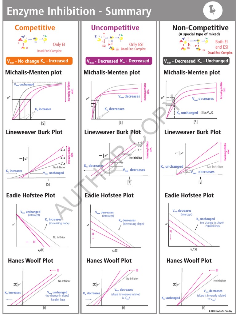 Enzymes Graphs 2 PDF | PDF | Enzyme Inhibitor | Macromolecules