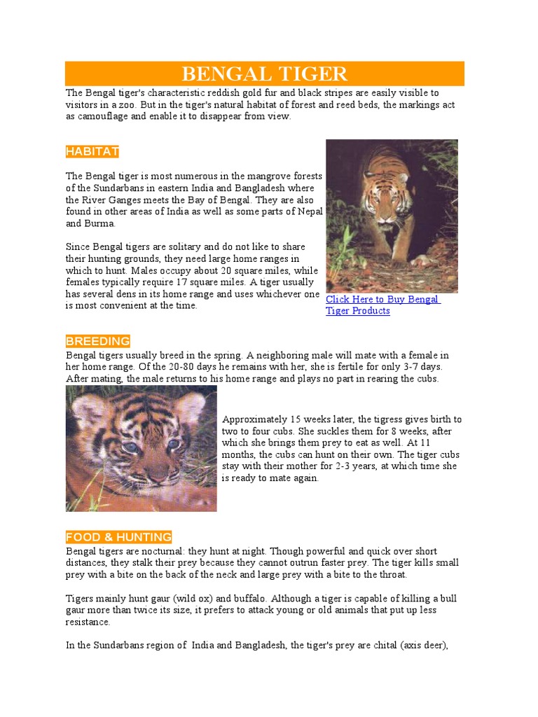 Bengal Tiger: Habitat | PDF | Tiger | Predation