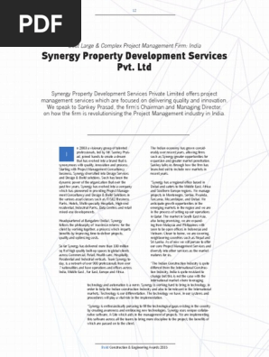 Synergy Property Development Services Logo