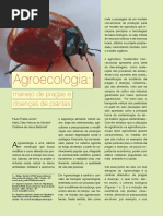 Inseticidas Epingle 100 Bula | PDF | Ferimento | Agricultura