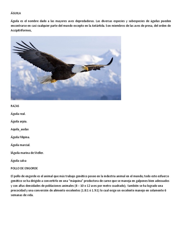 Las diversas especies y características de las águilas, así como las razas de pollos de engorde ...