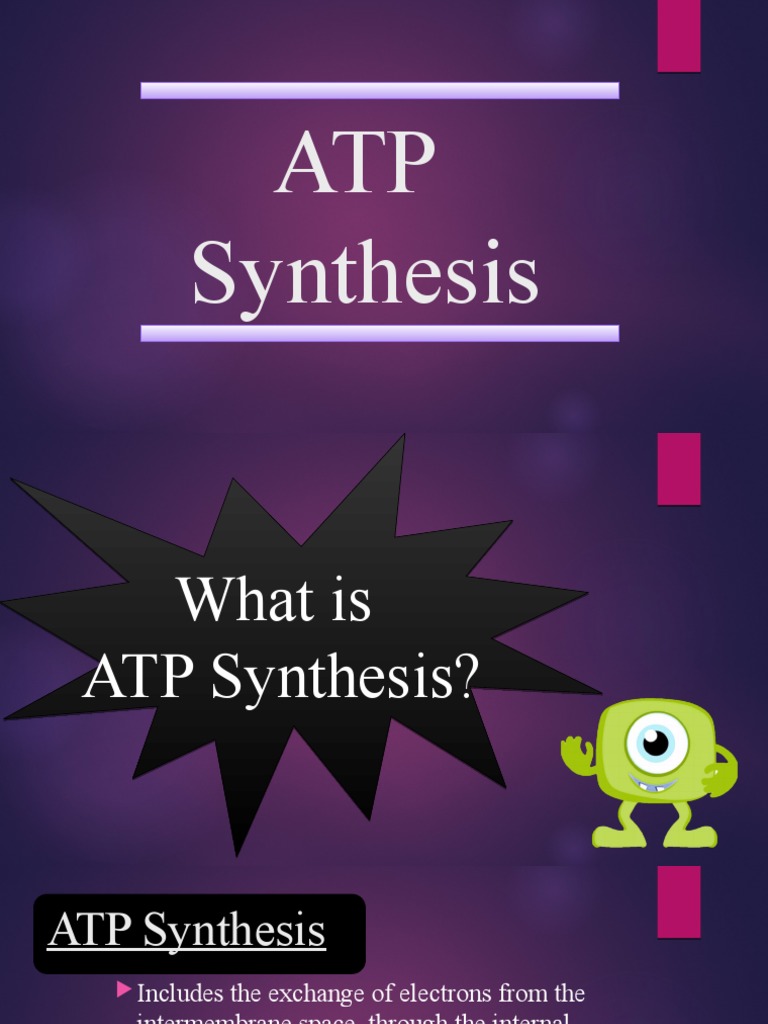Understanding ATP Synthesis: The Role of the Proton Gradient and ATP Synthase in Generating ...