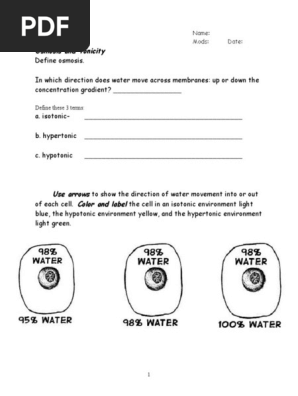 Hypertonic Hypotonic Isotonic Worksheet