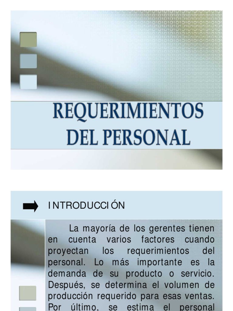 Determinación de los requerimientos de personal: Enfoques, técnicas y ...