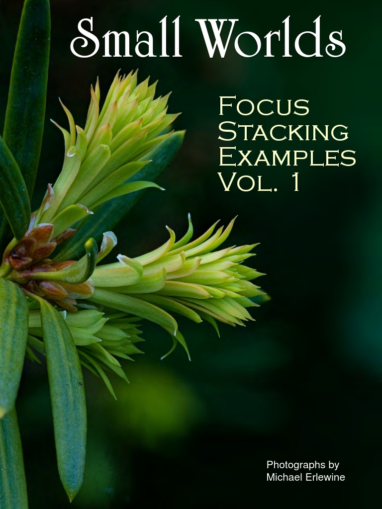 Small Worlds - Focus-Stacking Examples Vol. 1 | PDF | Photograph | Leisure