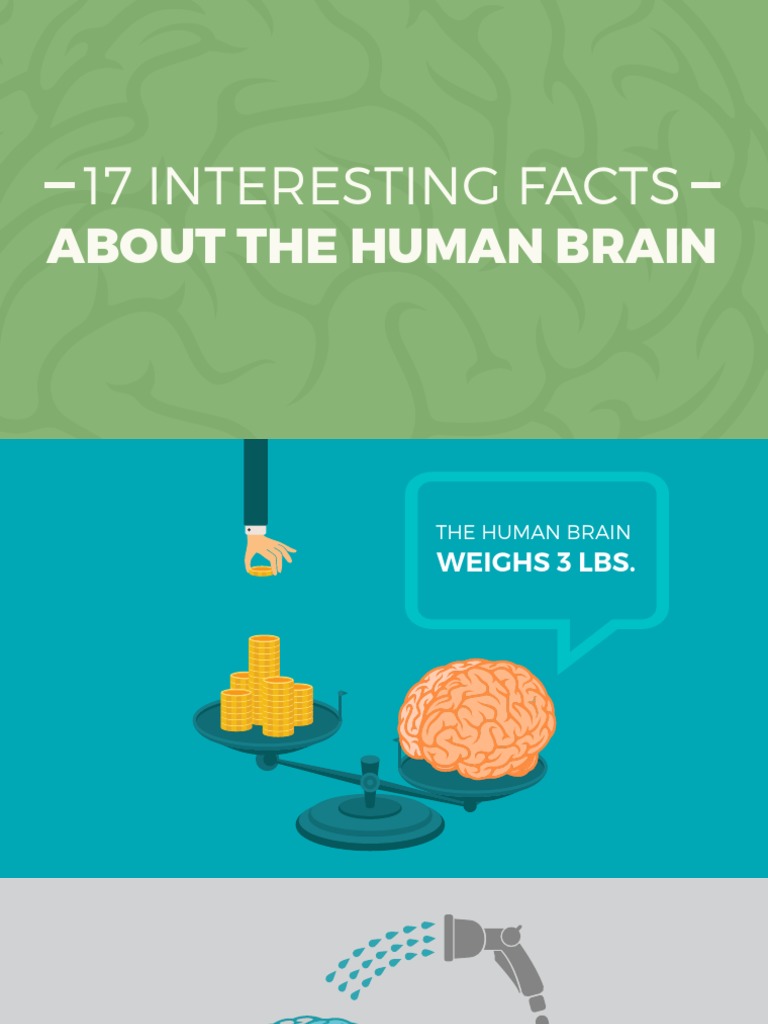 17 Interesting Facts: About The Human Brain | PDF