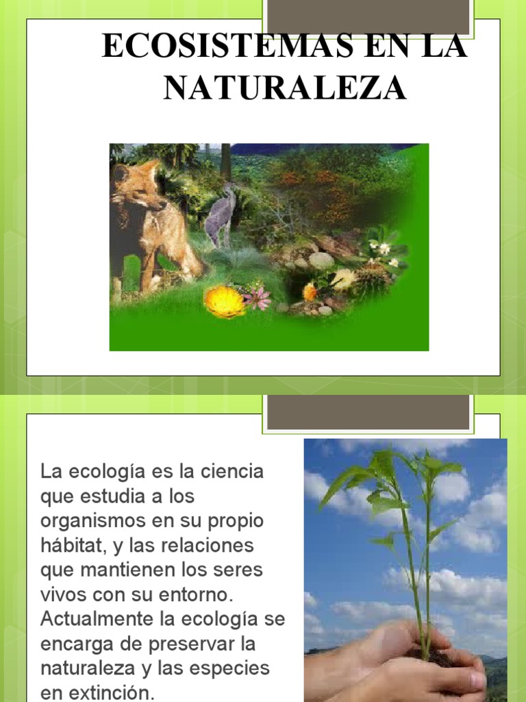 Interacciones en Los Ecosistemas5 Basico | PDF | Ecosistema | Ecología