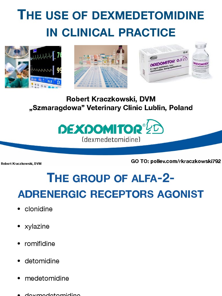 HE USE OF Dexmedetomidine IN Clinical Practice: Robert Kraczkowski, DVM ...