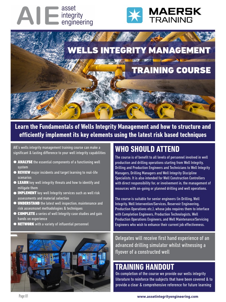 Wells Integrity Management Training Course | PDF | Life Cycle ...