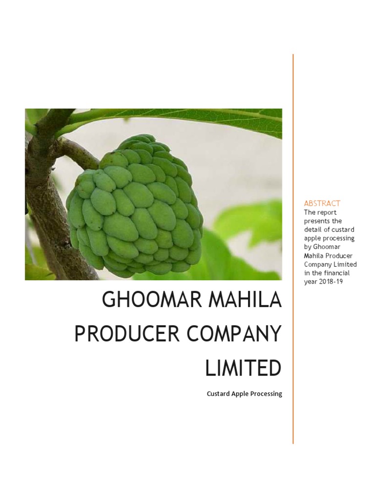 Custard Apple Processing Overview 2018-19 | PDF | Pulp (Paper) | Nature