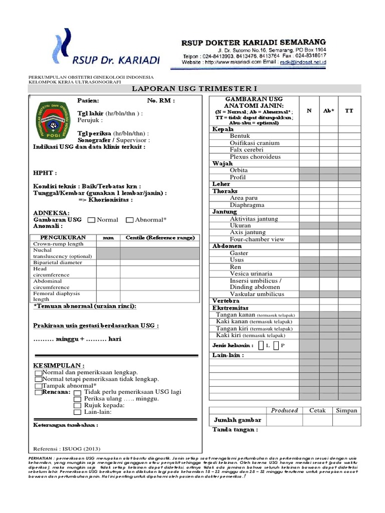 Format Interpretasi Usg TMST 123 PDF | PDF