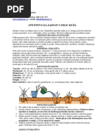 Ruze Topalovic Katalog | PDF
