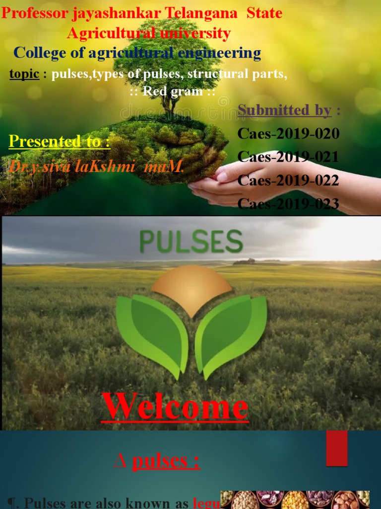 Red Gram: Types and Cultivation Guide | PDF | Technology & Engineering ...
