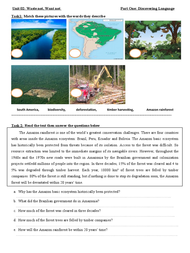 Amazon Rainforest Conservation Challenges | PDF | Amazon Rainforest ...