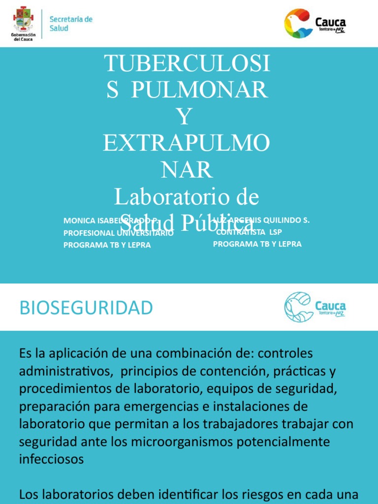 Tuberculosis Pulmonar y Extrapulmonar | PDF | Mycobacterium | Tuberculosis