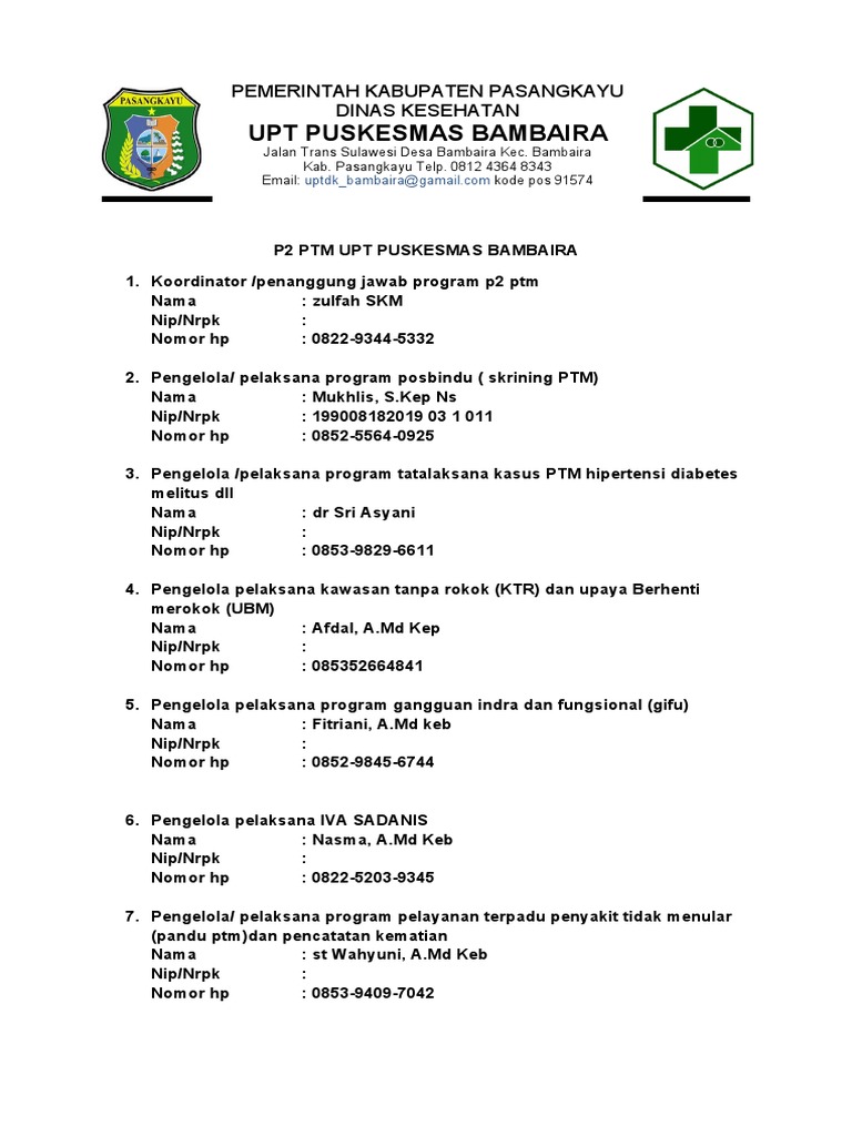 Struktur P2 PTM UPT PUSKESMAS BAMBAIRAa | PDF