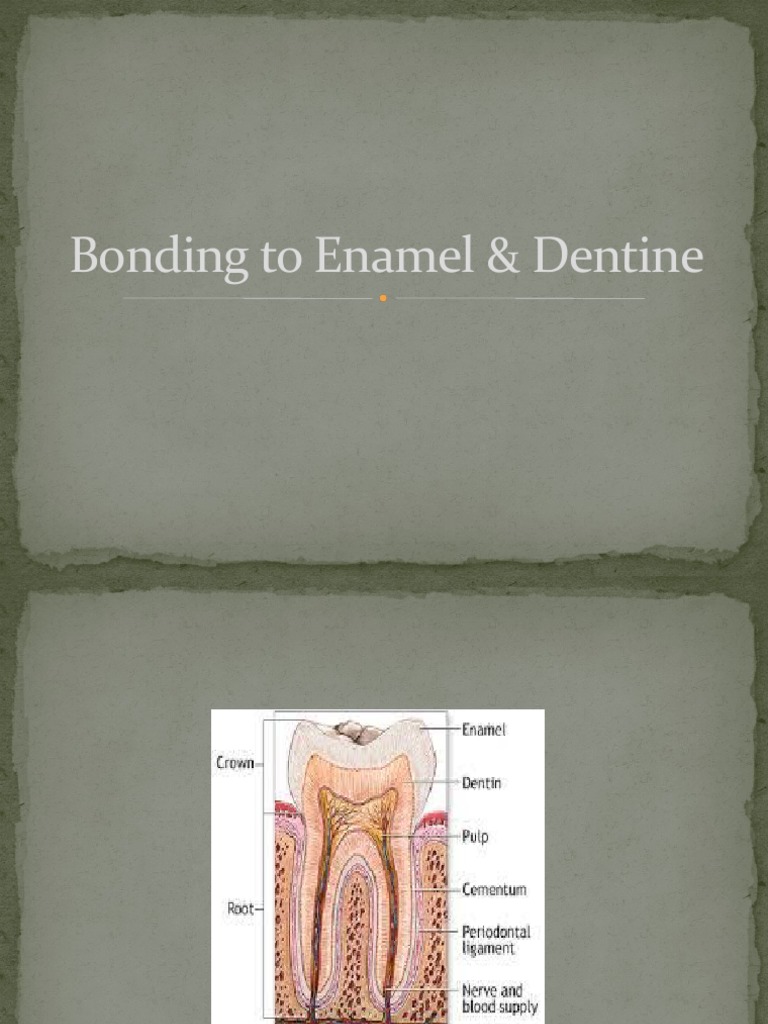 Adhesion (Enamel and Dentin) | PDF | Adhesion | Dentin