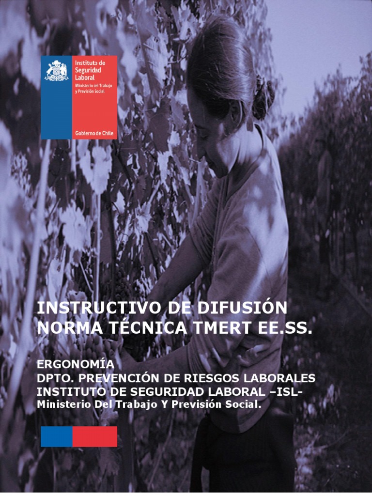Instructivo de La Difusión Norma Tec. Tmert Ee - Ss. Isl (Material ...