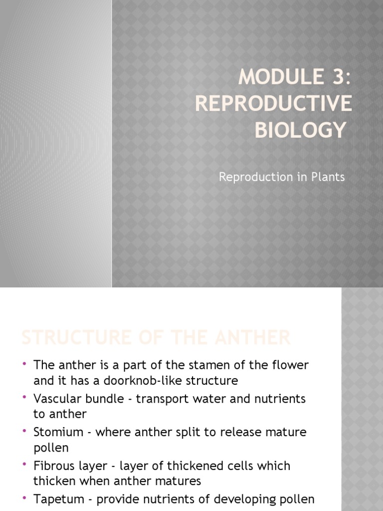 Reproductive Biology: Reproduction in Plants | PDF | Pollination | Pollen