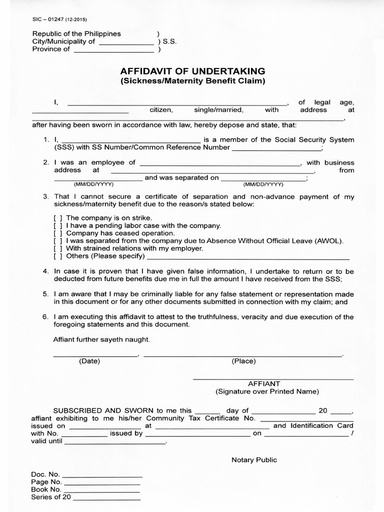 Affidavit Of Undertaking Pdf - Free Word Template