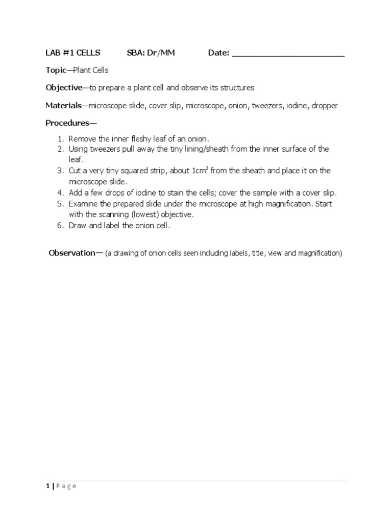 A Drawing of Onion Cells Seen Including Labels, Title, View and ...