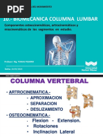 Tracto Rubroespinal | PDF | Cerebro | Neuroanatomía