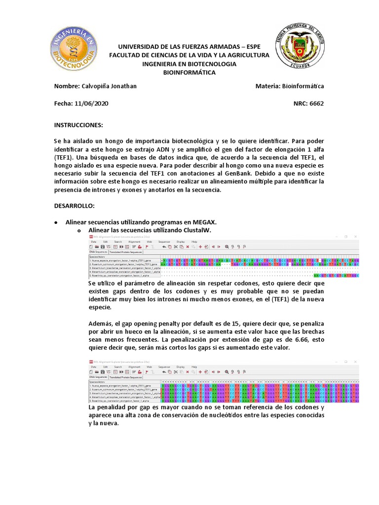 Practica 2 Bioinformatica | PDF | Bioinformática | Intron
