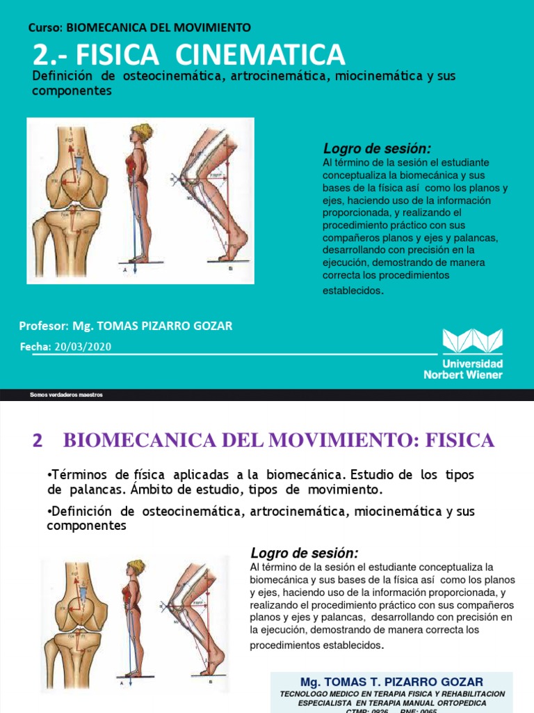 Clase 2 de Biomecanica | PDF | Palanca | Biomecánica