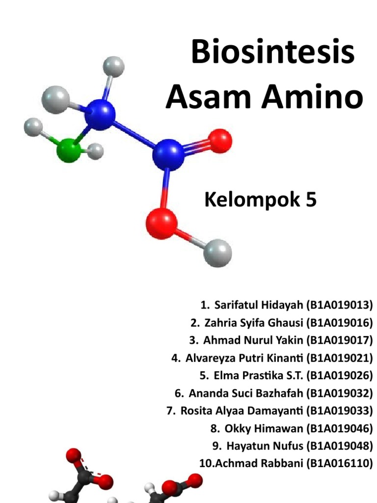 Biosintesis Asam Amino | PDF