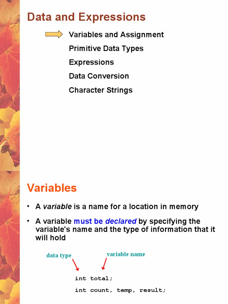 Variables and Assignment Primitive Data Types Expressions Data Conversion Character Strings ...