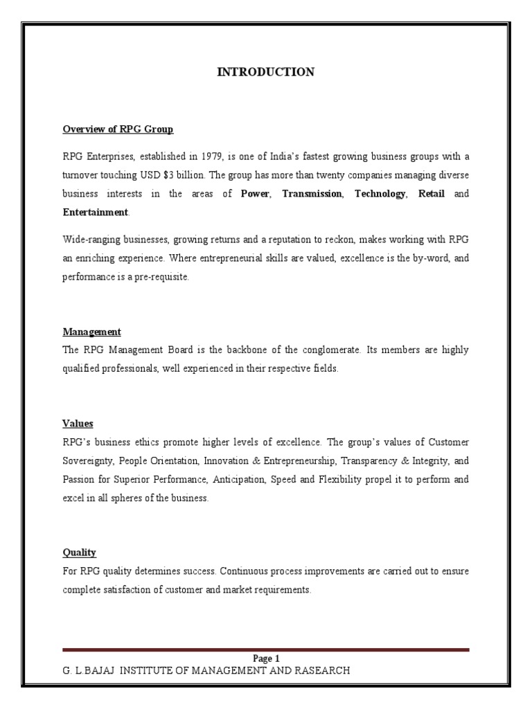 Overview of RPG Group | PDF | Business | Retail