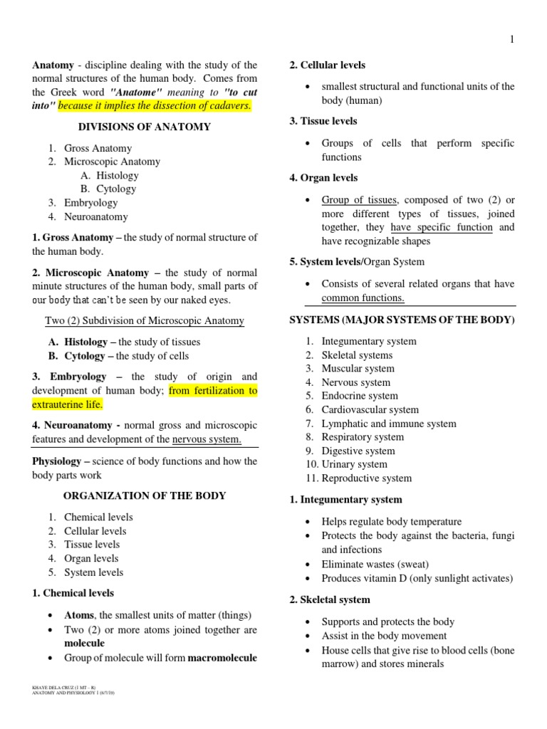 Into" Because It Implies The Dissection of Cadavers.: Khaye Dela Cruz ...