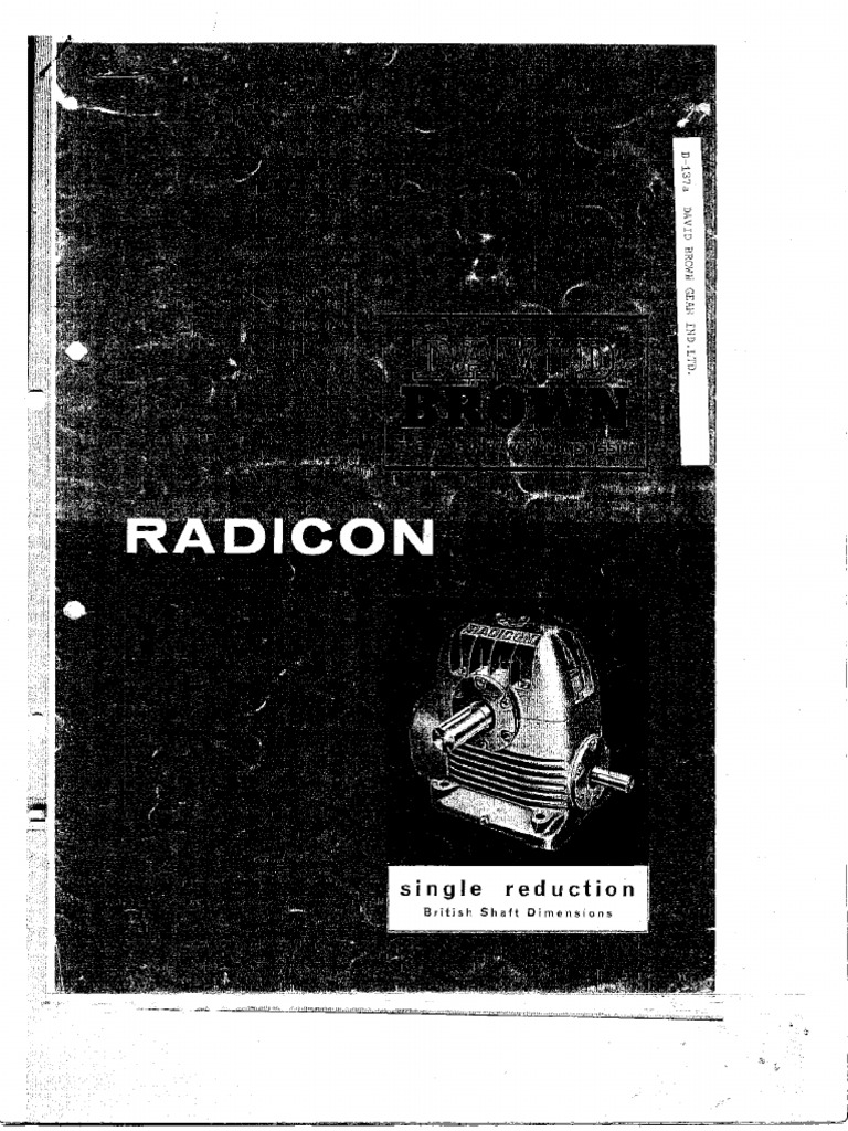 Catalogo Radicon | PDF
