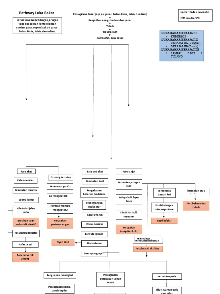 Pathway Luka Bakar Dan Tindakan Infus | PDF