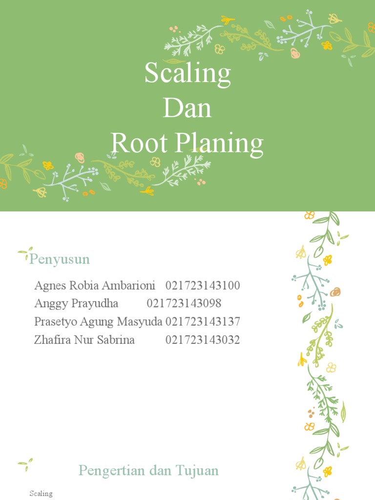 Scaling Dan Root Planing | PDF