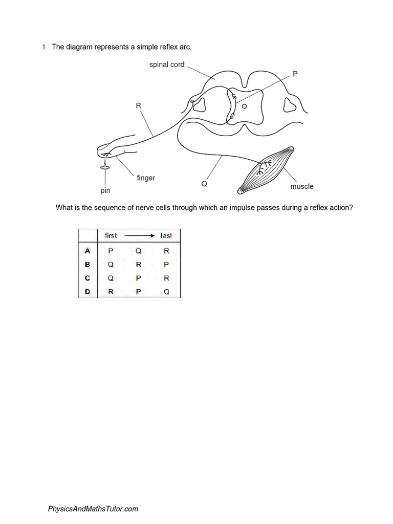 Coordination & Response (Multiple Choice) 1 QP PDF | PDF | Vasodilation ...