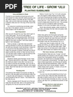 Tree Plantation Project | PDF