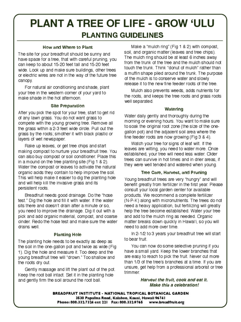 Plant A Tree of Life - Grow Ulu: Planting Guidelines | PDF | Mulch | Trees